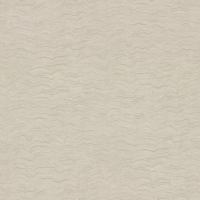 Trek – York Contract